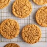 Thin and Crispy Gingersnap Cookies - Hungry Foodie